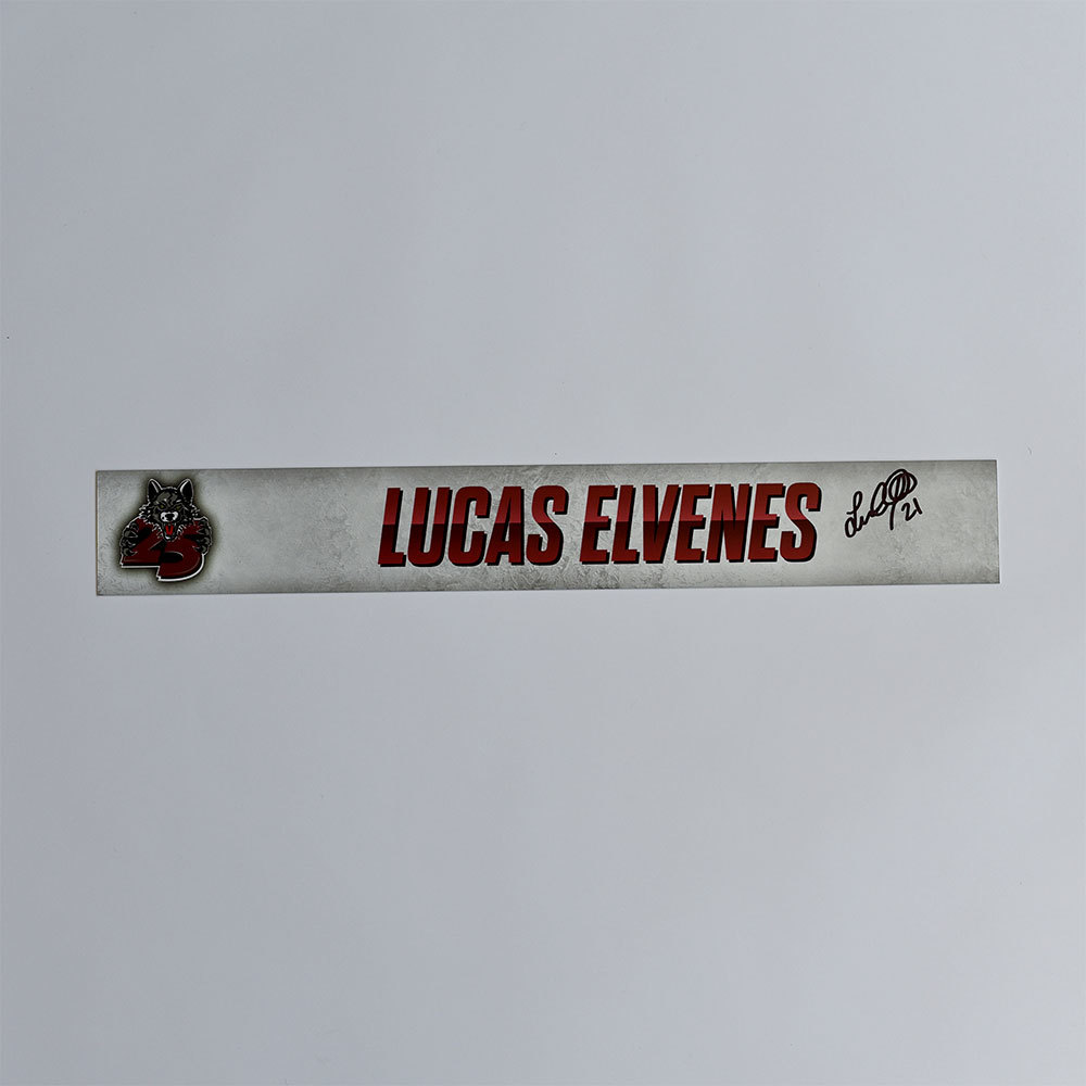 AHL Authentic - Chicago Wolves 2019 Calder Cup Finals Game 3 Locker ...