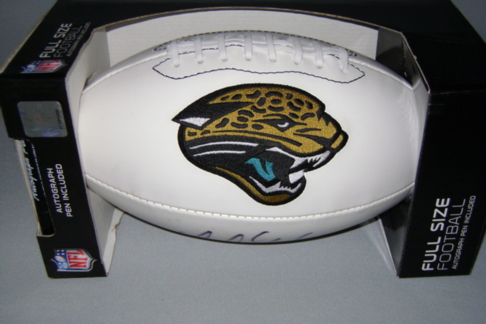 JAGUARS - DAVID GARRARD SIGNED PANEL BALL | The official auction site ...