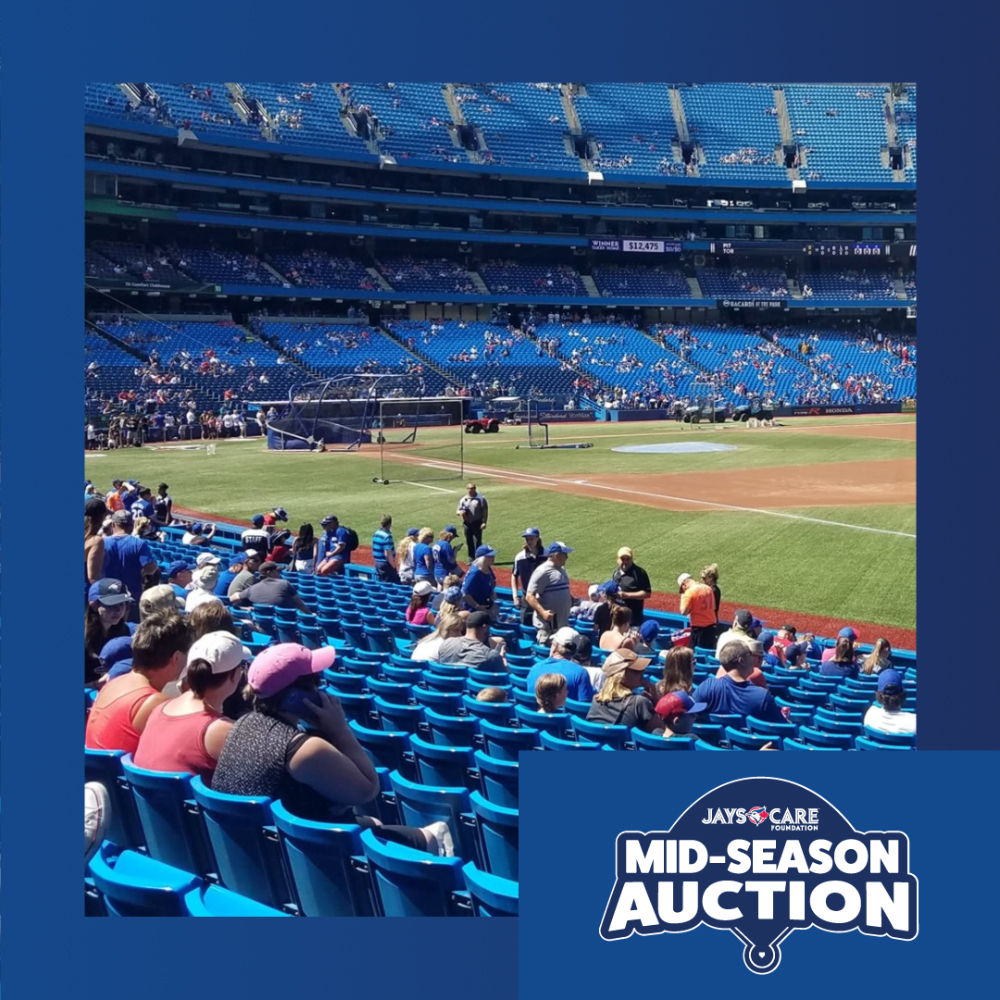 Rogers Centre Stadium Seats | Toronto Blue Jays Auctions