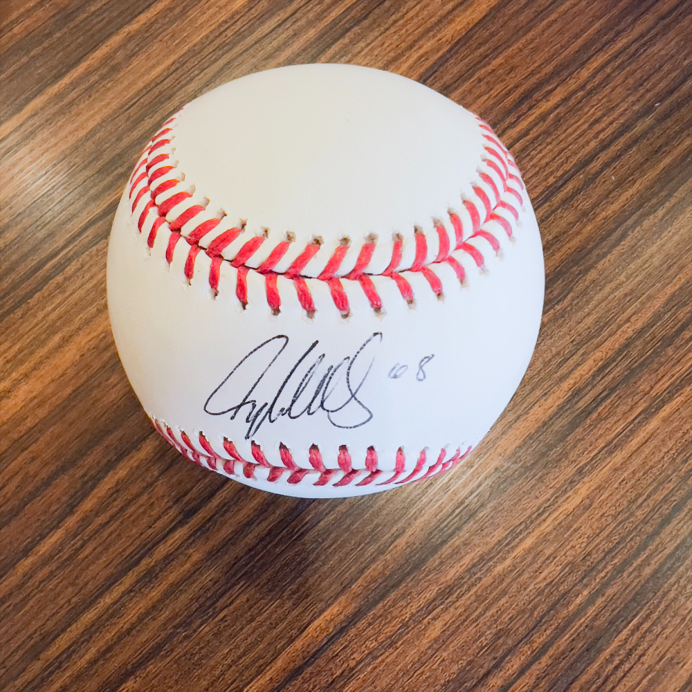 Tyler Wells: Baseball - Autographed | Baltimore Orioles Auctions
