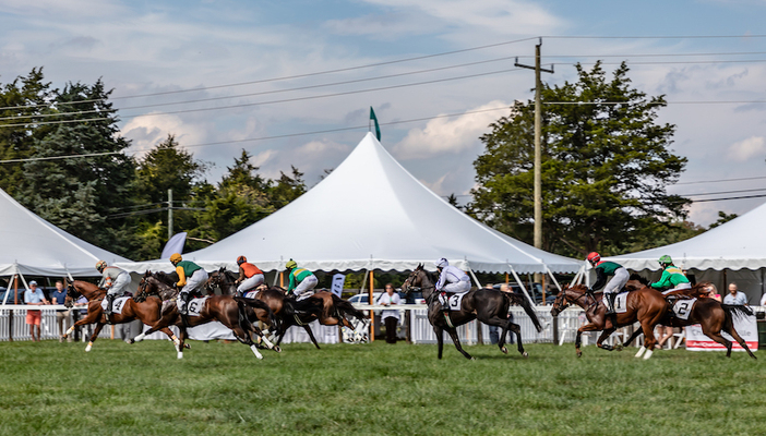 SkyMiles Experiences