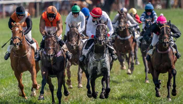 SkyMiles Experiences