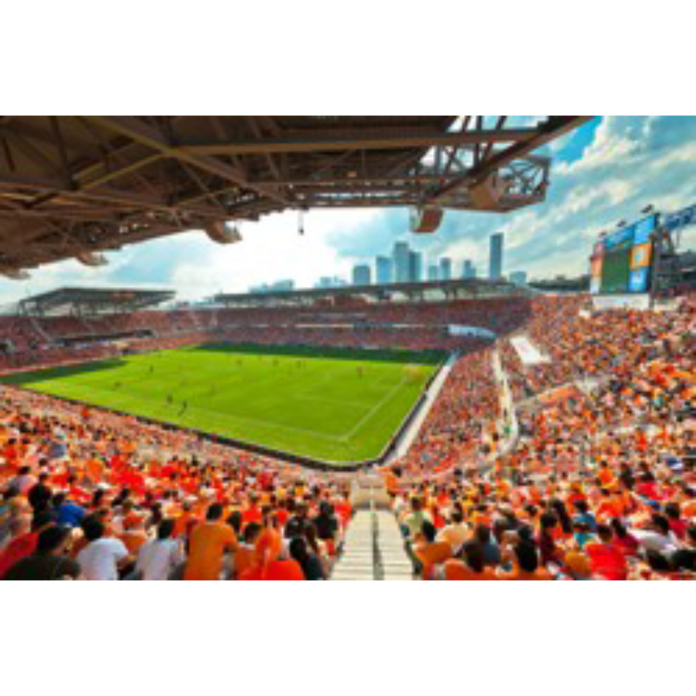 Houston Dynamo Tickets & Swag | Houston Astros Auctions