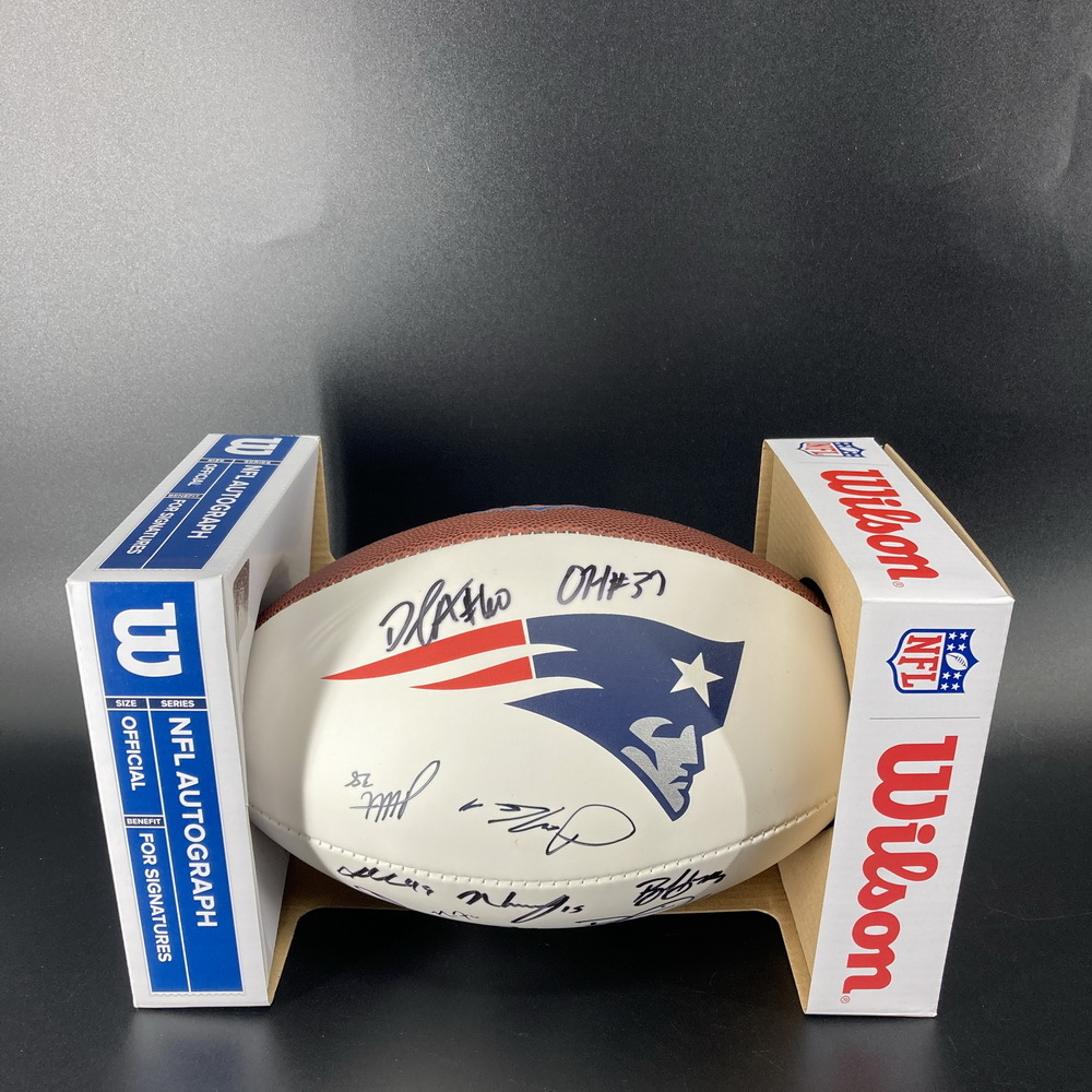 Patriots - Multi Signed Panel Ball Signed by Brian Hoyer, Julian ...