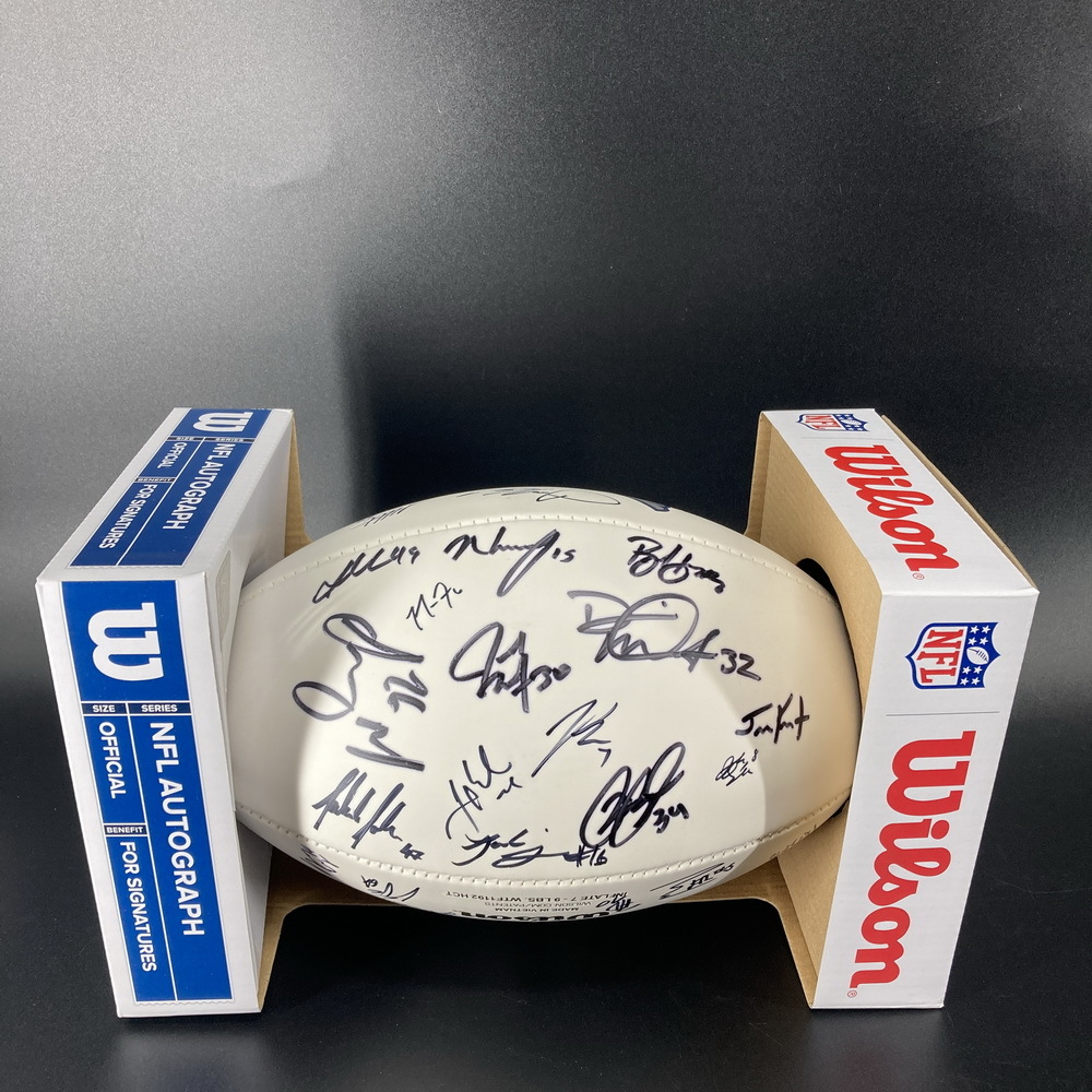 Patriots - Multi Signed Panel Ball Signed by Brian Hoyer, Julian ...