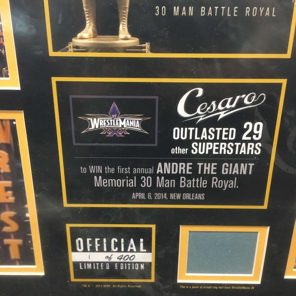 Cesaro "Andre The Giant Memorial Battle Royal" Signed Commemorative ...