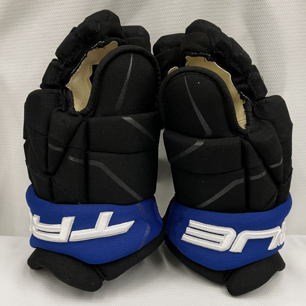 Tyler Bertuzzi 2023-24 Flipside Game Worn Gloves | Real Sports Auction