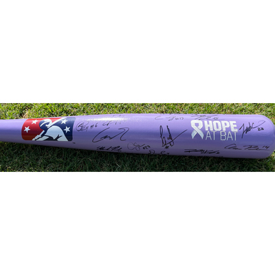 Hope At Bat Charity Auction: Asheville Tourists Team Signed Bat | MiLB ...