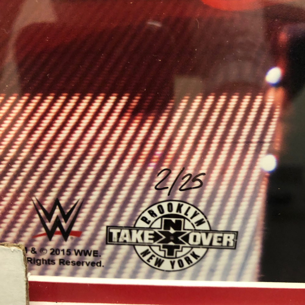 Finn Bálor Autographed NXT TakeOver: Brooklyn Ladder Piece Plaque (#2 ...