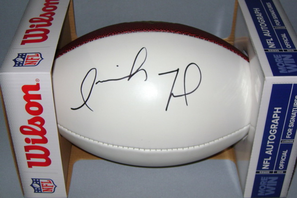 NFL - DOLPHINS ISAIAH FORD SIGNED PANEL BALL | The official auction ...