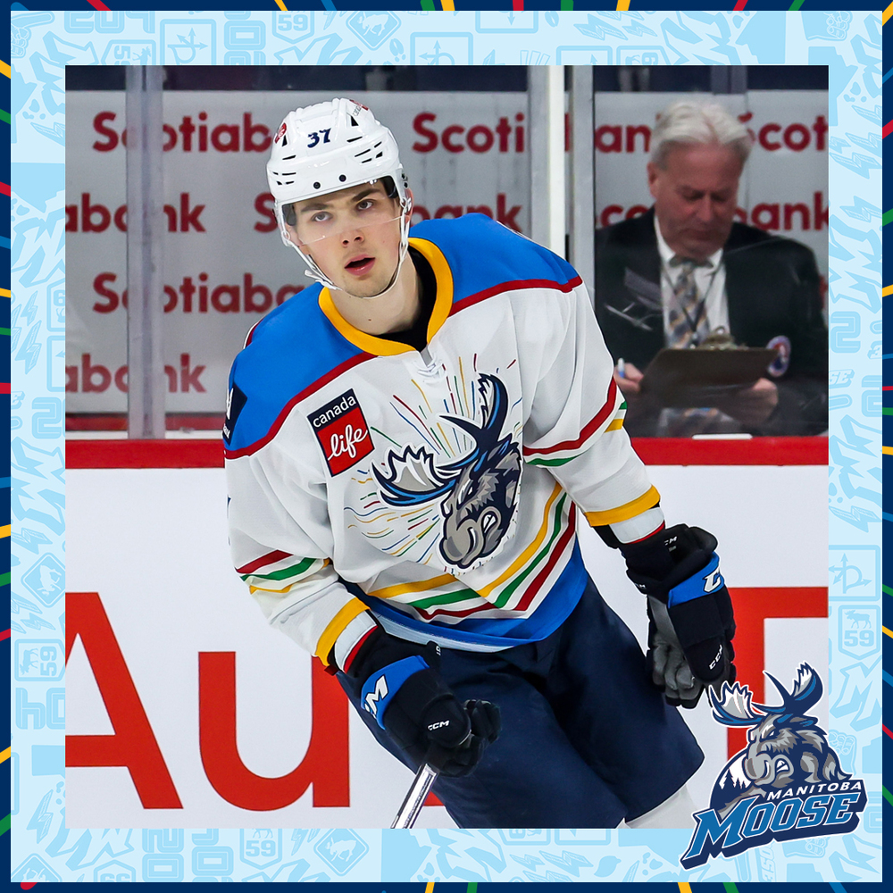 HENRI NIKKANEN Game Worn Autism Acceptance Jersey - NHL Auctions