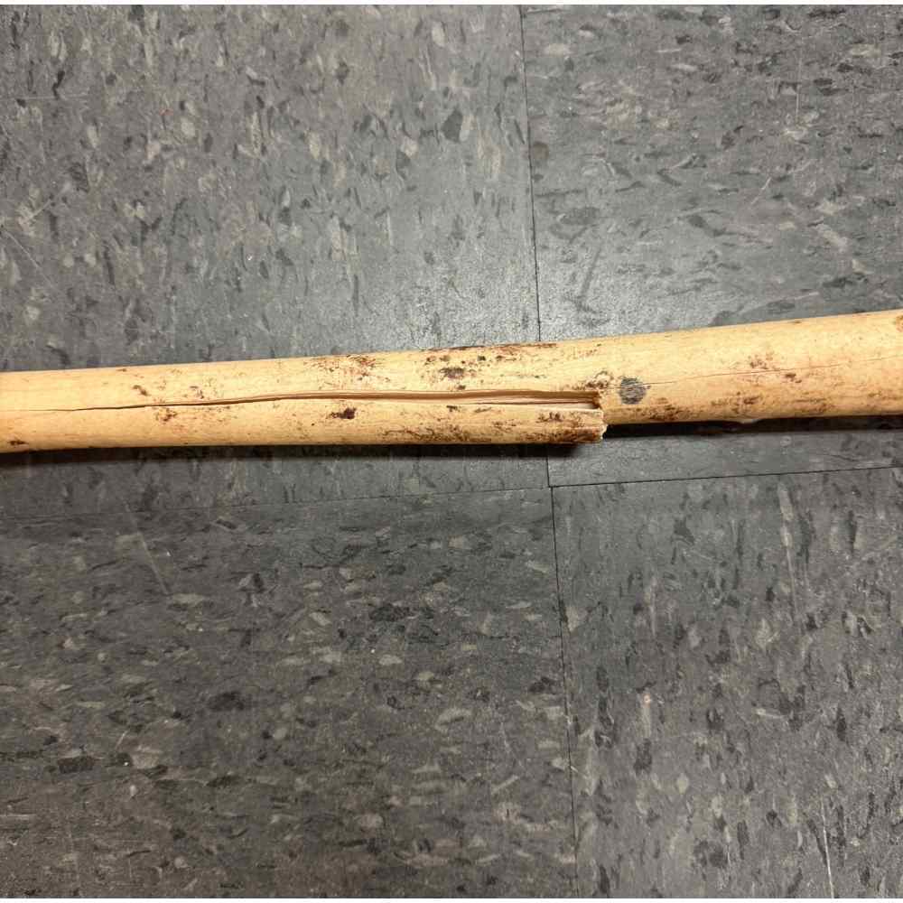 The official auction site of Giants Auctions | San Francisco Giants ...