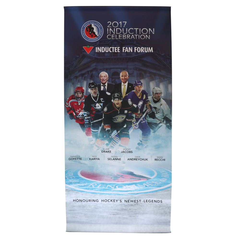 Andreychuk, Drake, Goyette, Jacobs, Kariya, Recchi, Selanne - Class of ...