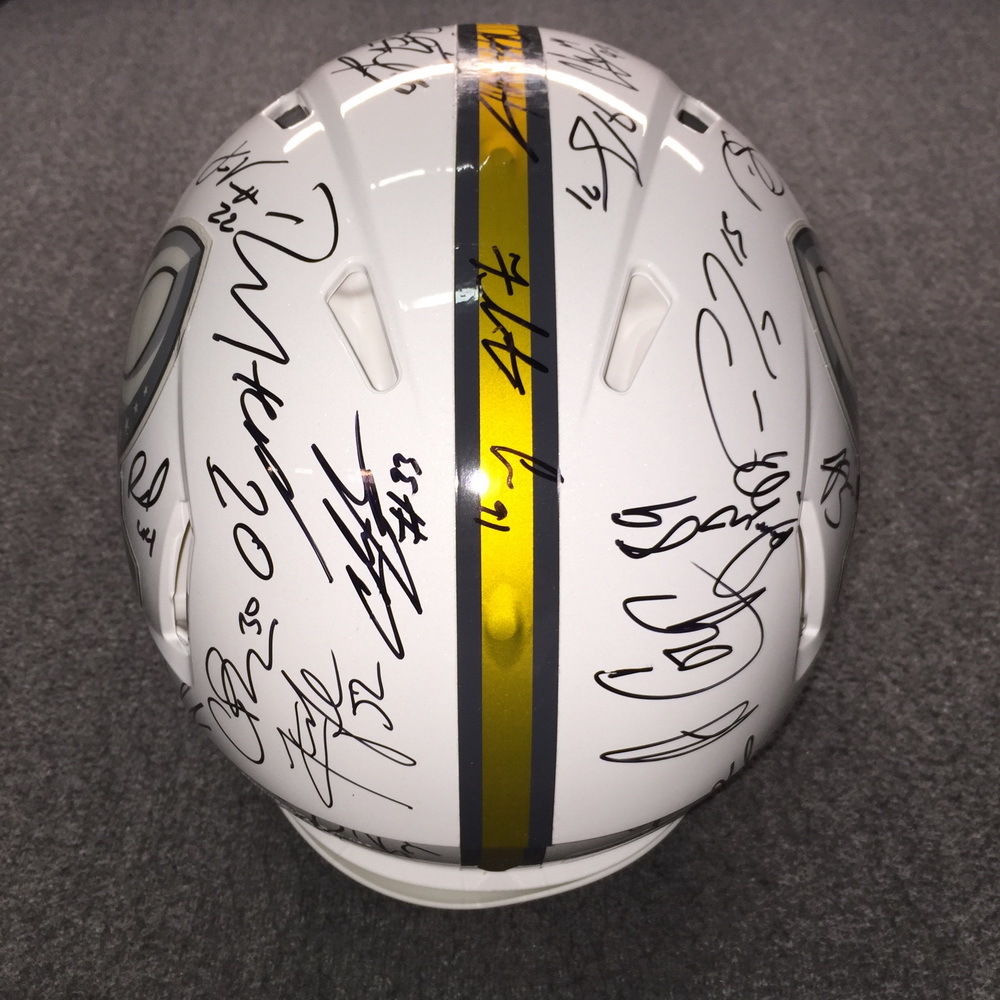 Hurricane Ian Relief - Multi Signed Pro Bowl Helmet y 2016 w/ over 20 ...