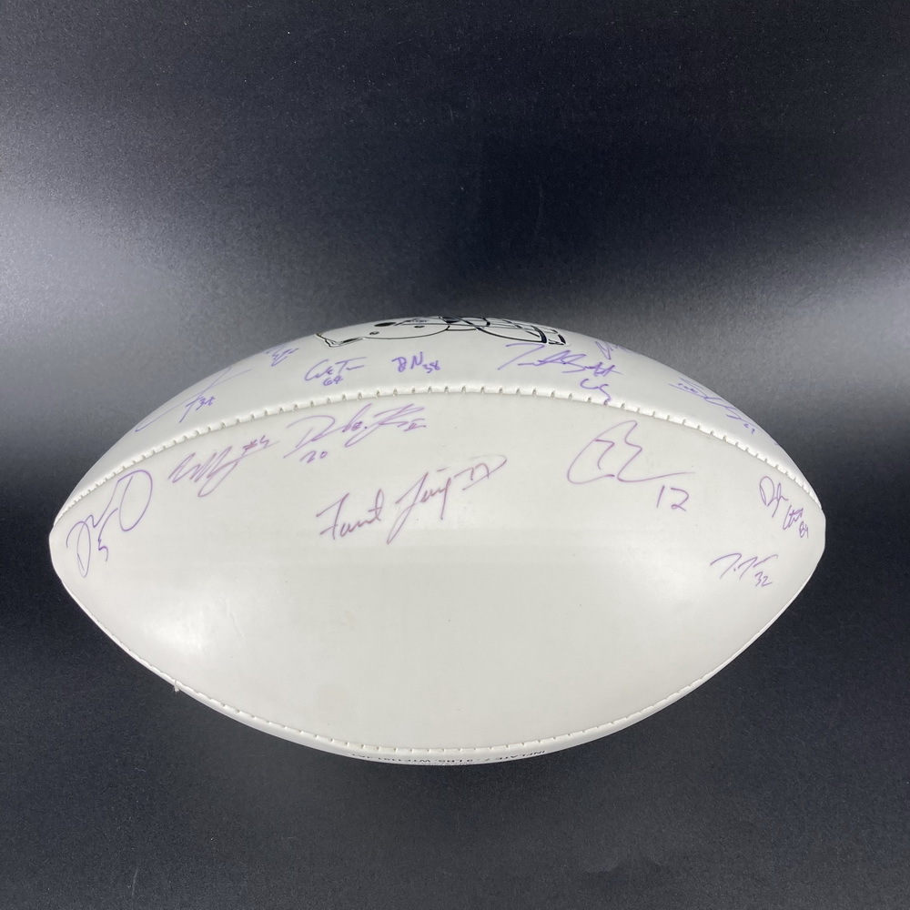 Chargers - 2019 Panel Ball Signed By Bosa, Taylor, Benjamin, Lamp, Watt, Eckler, Green, Badgley ...