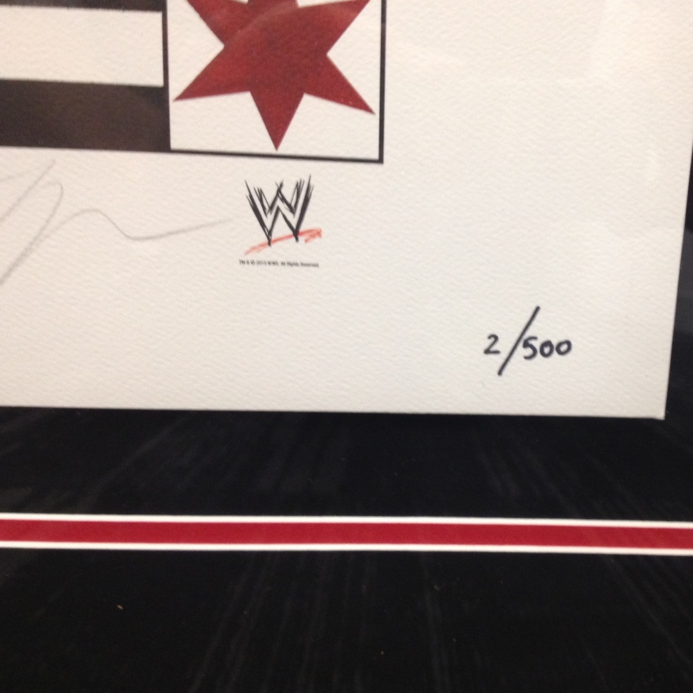 CM Punk Autographed & Framed "Second City Saint" Lithograph (#2/500 ...