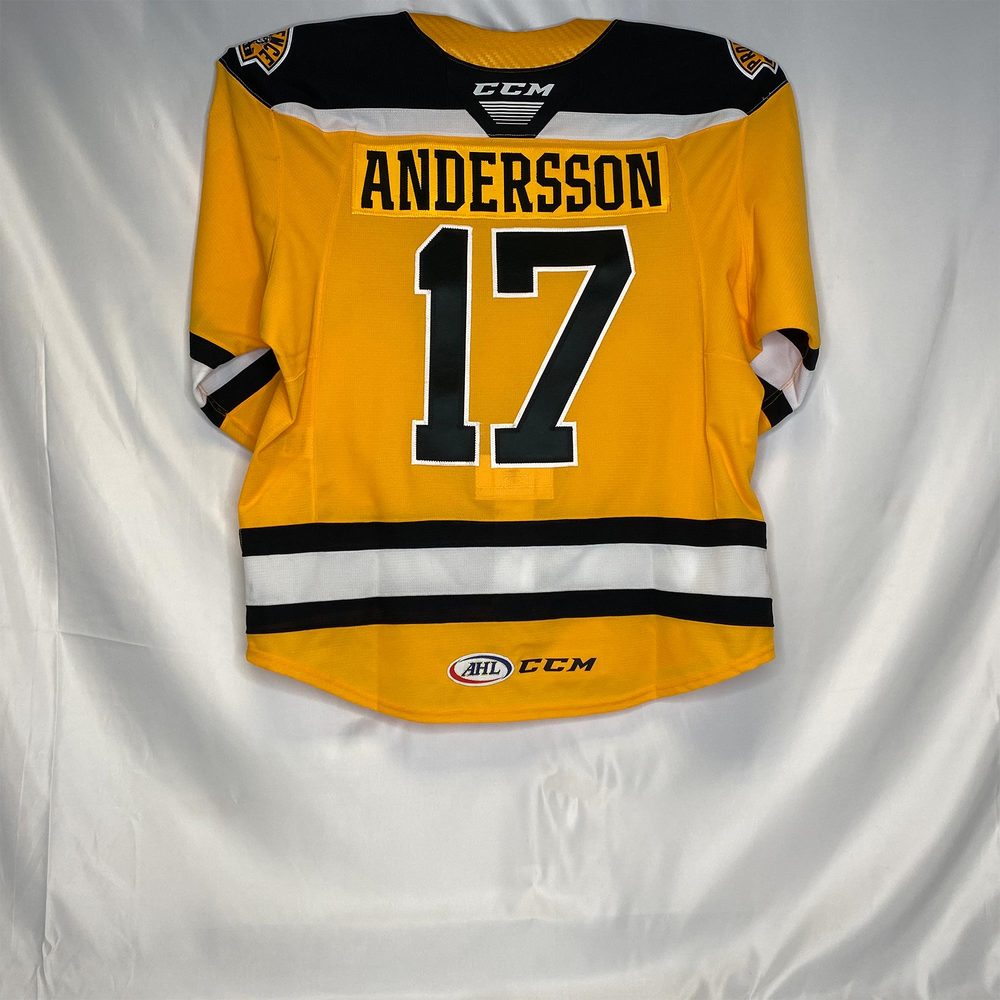 AHL Authentic - 2019-20 Providence Bruins Third Jersey Issued to #17 ...