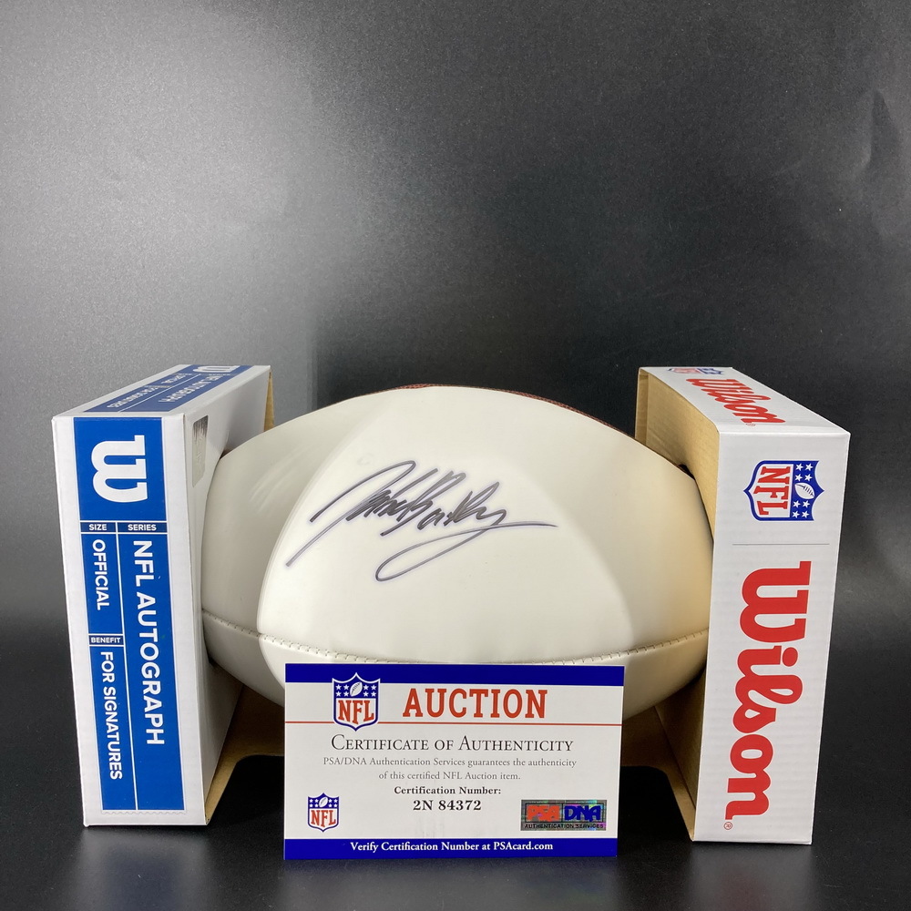 NFL - Patriots Jake Bailey Signed Panel Ball | The official auction ...