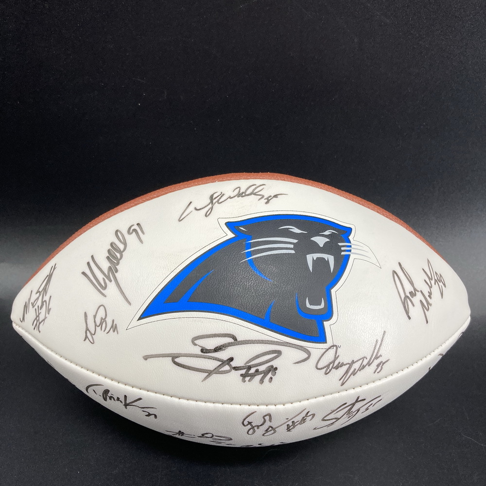 Panthers - 1999 Team Signed Panel Ball with Panthers Logo Signed by 27 ...