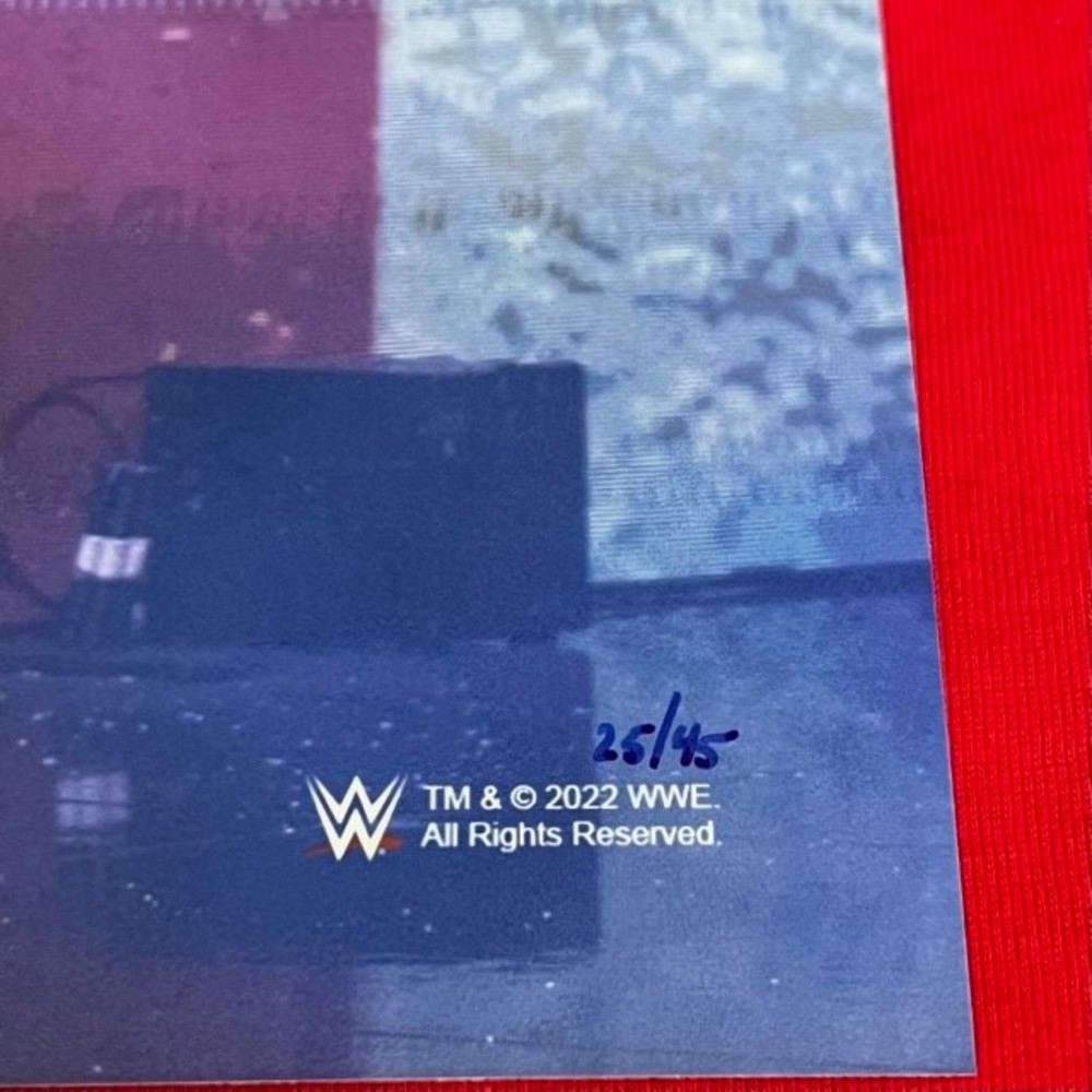 Cody Rhodes SIGNED 8x10 Photo (Random Number) | WWE Auction