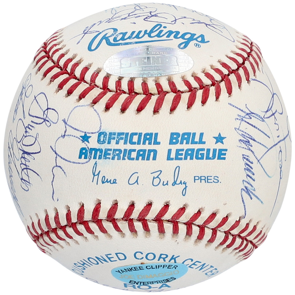 New York Yankees Autographed Rawlings Official Baseball in Display Case ...