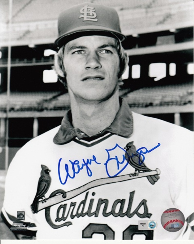 Wayne Granger Autographed 8x10 | MLB Auctions