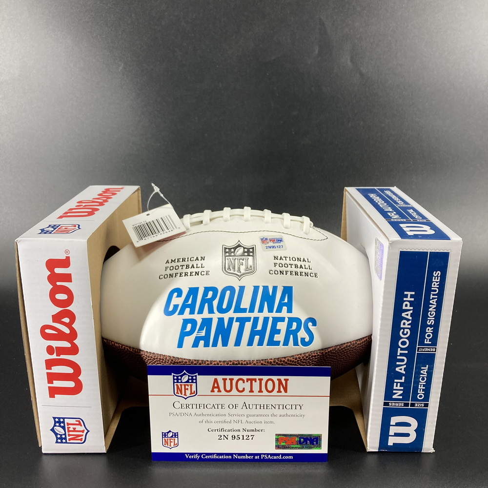 Panthers - Robby Anderson Signed Panel Ball With Panthers Logo | The ...