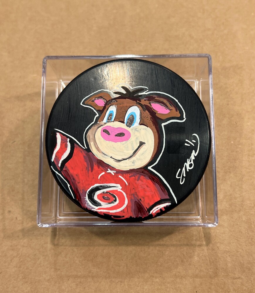Carolina Hurricanes Stormy Original Puck Artwork by artist S.Preston ...