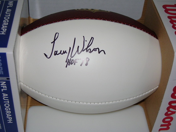 HOF - CARDINALS LARRY WILSON SIGNED PANEL BALL | The official auction ...