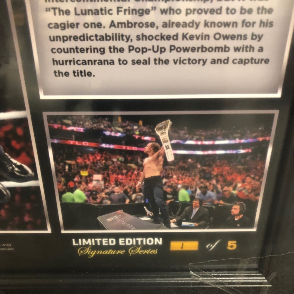 Dean Ambrose SIGNED TLC 2015 Signature Series Plaque (#1 of 5) | WWE ...