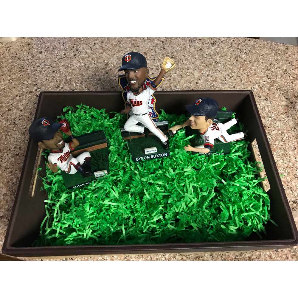 Minnesota Twins Crescent Cove Auction: Nothing Falls But Raindrops ...