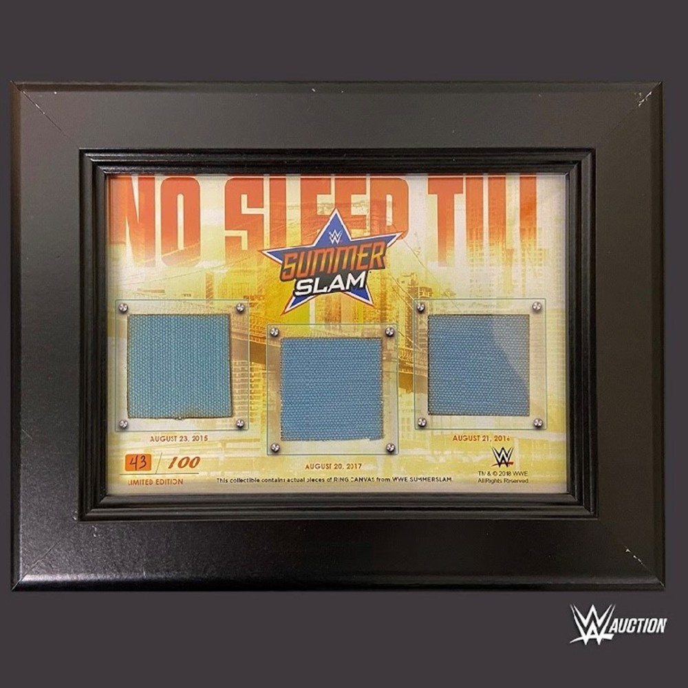 SummerSlam 2015, 2016, and 2017 USED Ring Canvas Frame (Random Number ...