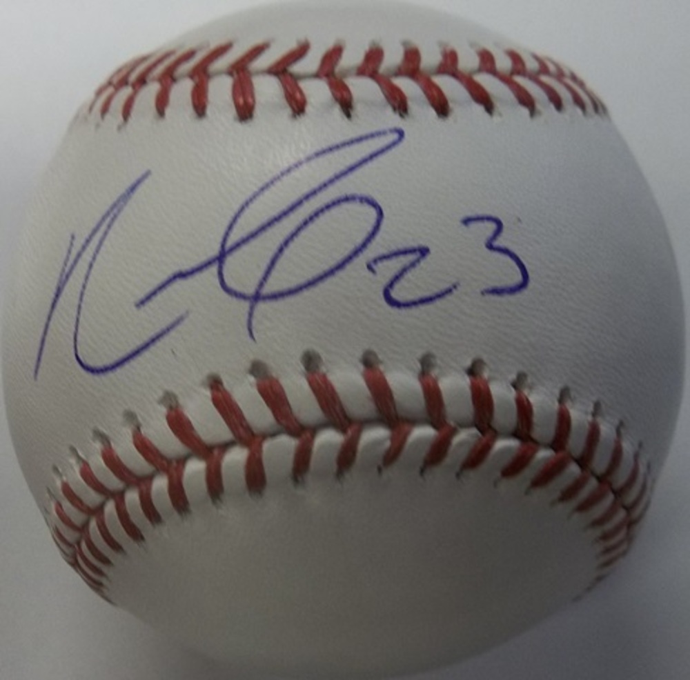 Nelson Cruz Autographed Baseball | MLB Auctions