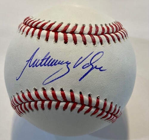 Anthony Volpe Autographed Baseball | MLB Auctions