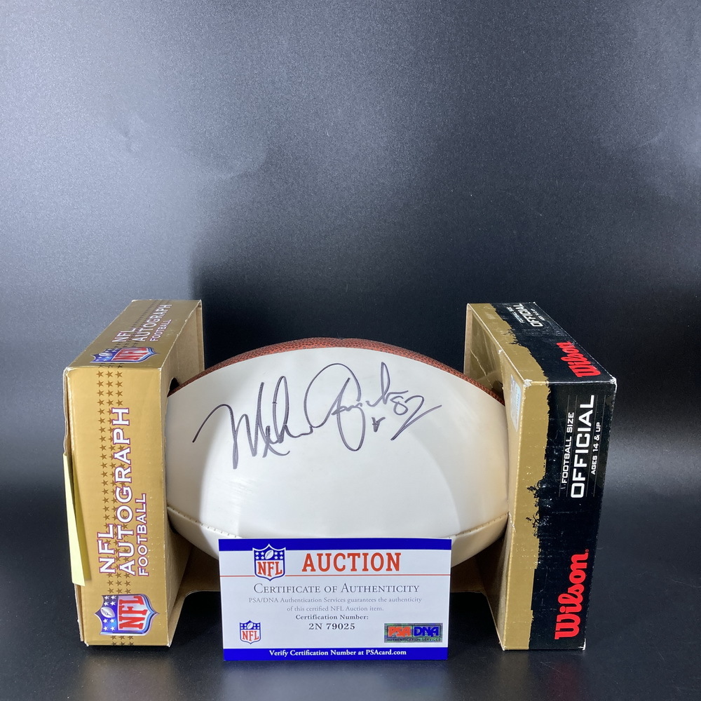 Legends - Eagles Mike Quick Signed Panel Ball | The official auction ...