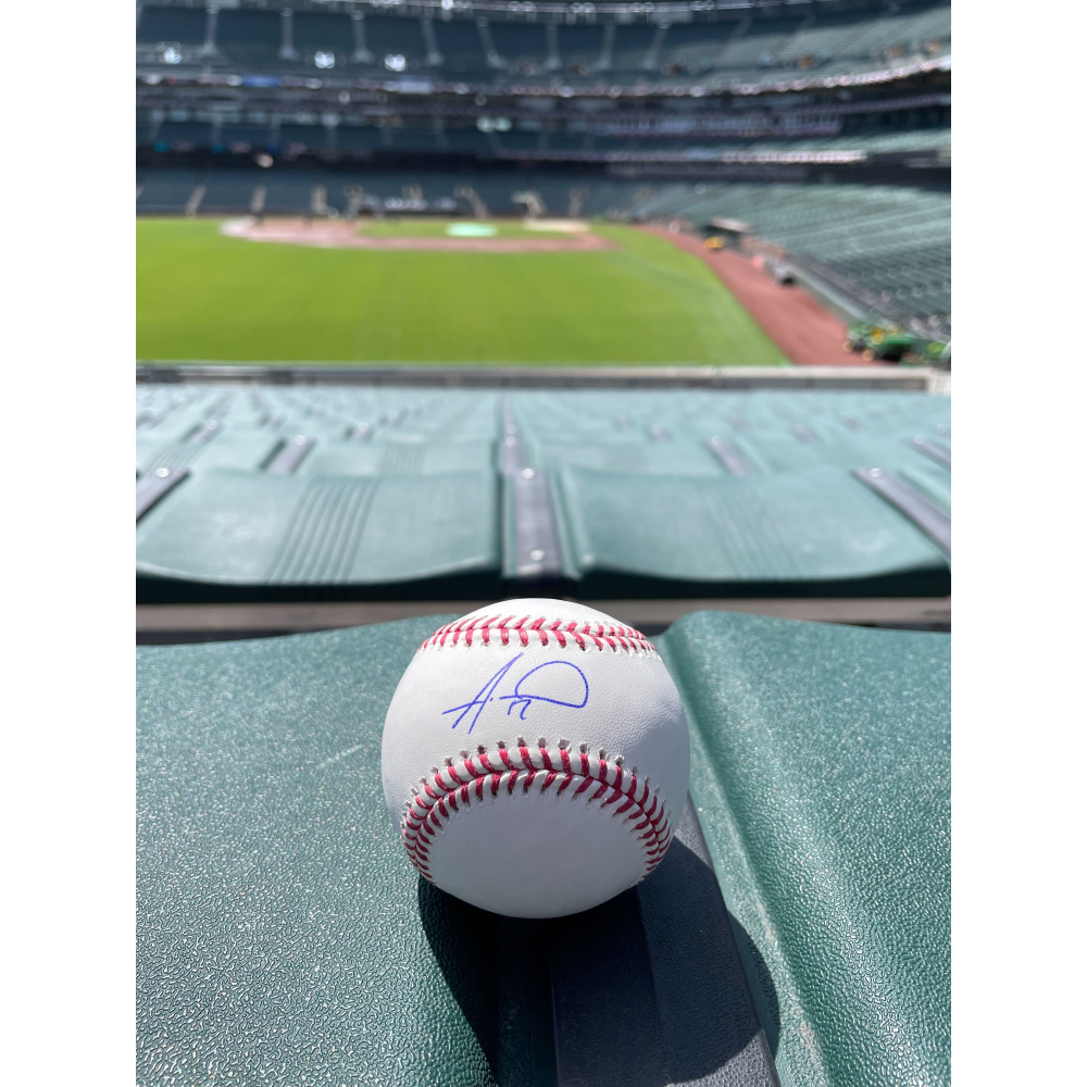 Giants Community Fund: Alex Wood Autographed Baseball | San Francisco ...