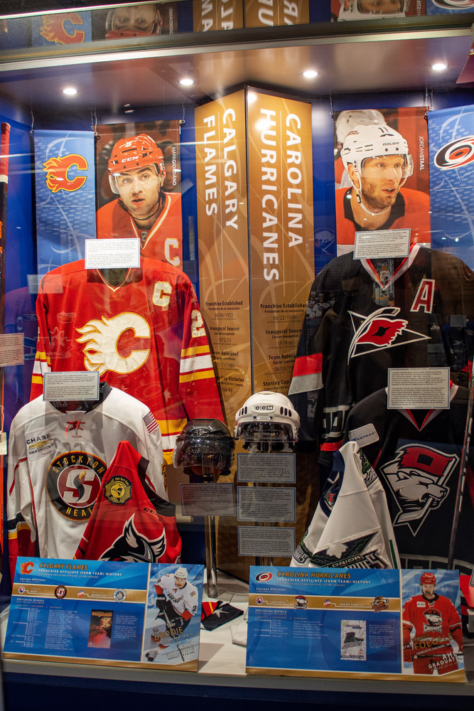 Mark Giordano - Calgary Flames Franchise Alley Banner - Limited Edition ...