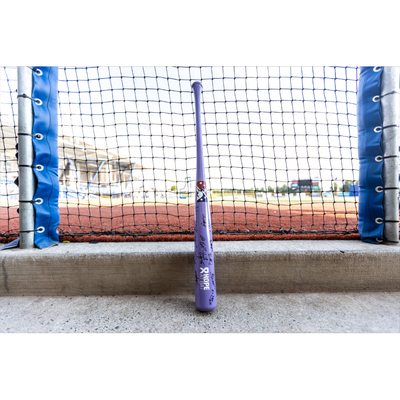 Hope At Bat Charity Auction: Hillsboro Hops Team Signed Bat | MiLB Auctions