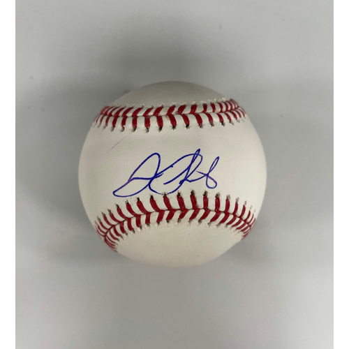 Gavin Sheets Autographed Baseball | White Sox Auctions