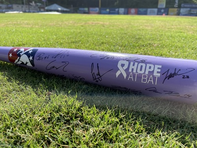 Hope At Bat Charity Auction: Asheville Tourists Team Signed Bat | MiLB ...
