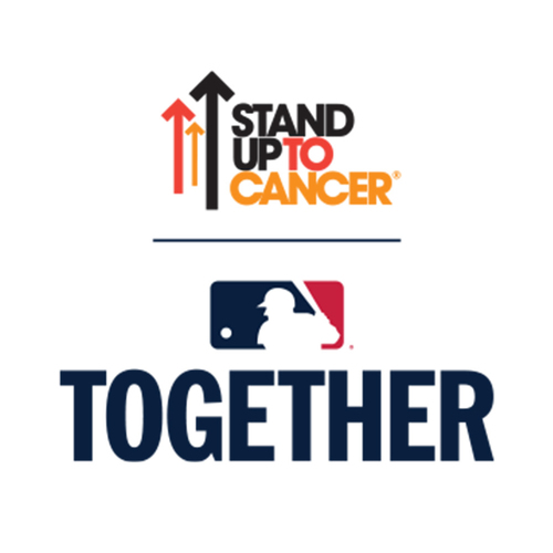 Fort Wayne TinCaps Experience | MLB Charities