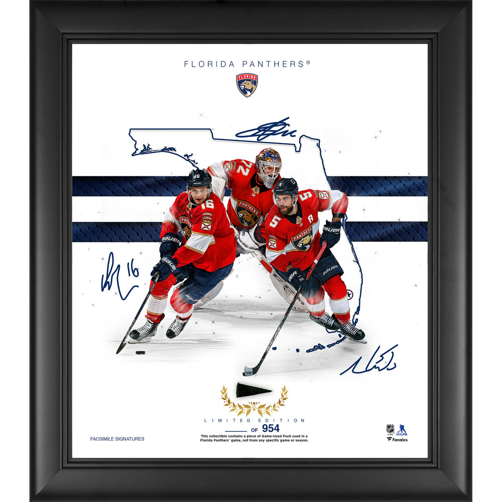 Florida Panthers Framed 15" x 17" Franchise Foundations Collage with a ...